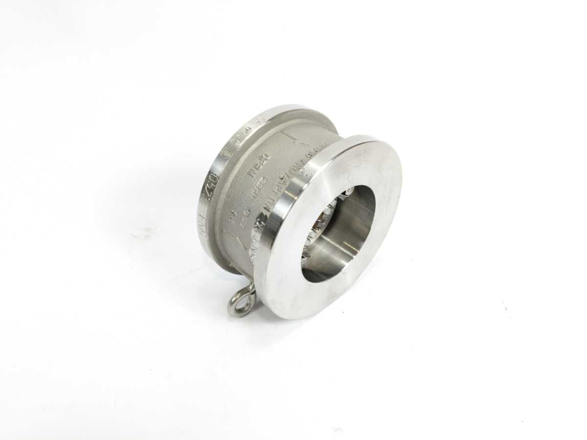 RITAG ZRD/API DN50 PN63 Wafer Type Check Valve – Buy2Sell ApS